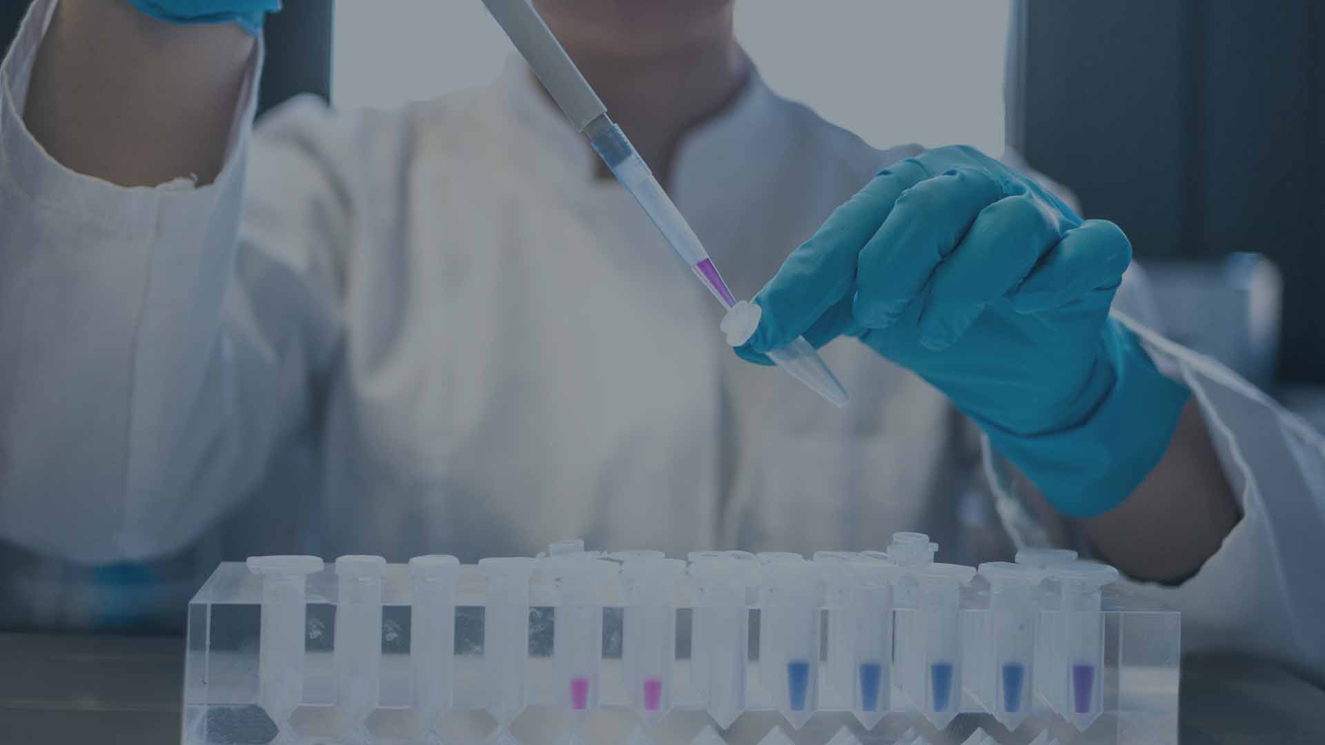 Eurotalc – Scientific Association of European Talc Producers